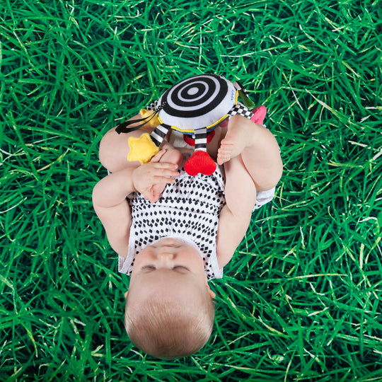 Baby Whoozit® Rattle Travel Toy By Manhattan Toy
