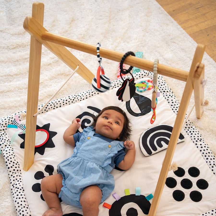 Wimmer Bullseye Ball, Infant Rattle Ball by Manhattan Toy
